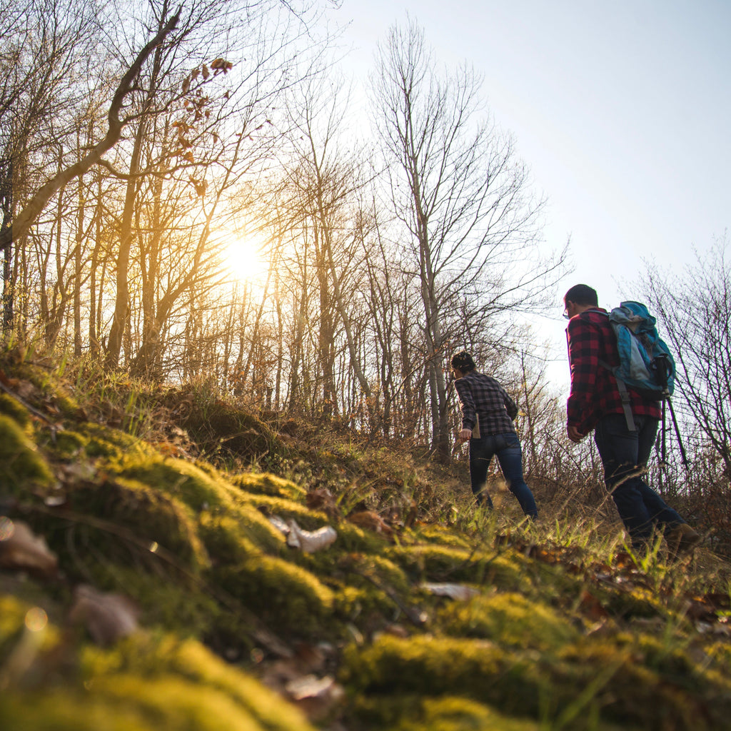 The best hiking trails in Val-David – KM-42